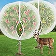 Amazon.com : Fruit Tree Netting for Cicadas - with 4Pcs 5Ftx5Ft Zipper ...