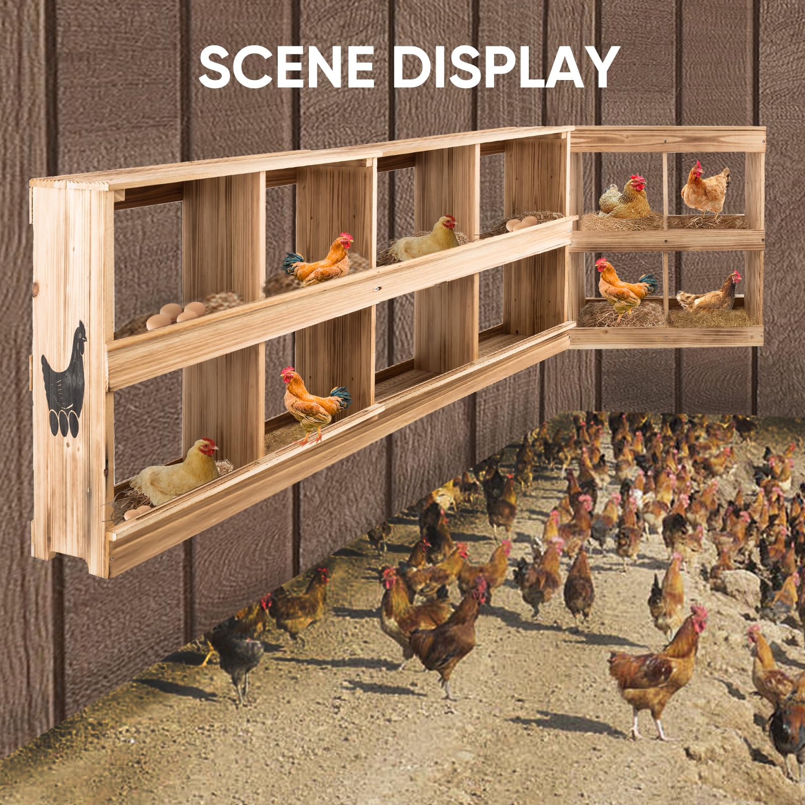 Mua Nesting Boxes for Chicken Coop - Wooden Chicken Nesting Box for ...