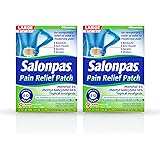 Amazon.com: Salonpas Pain Relieving Menthol and Methyl Salicylate Patch ...