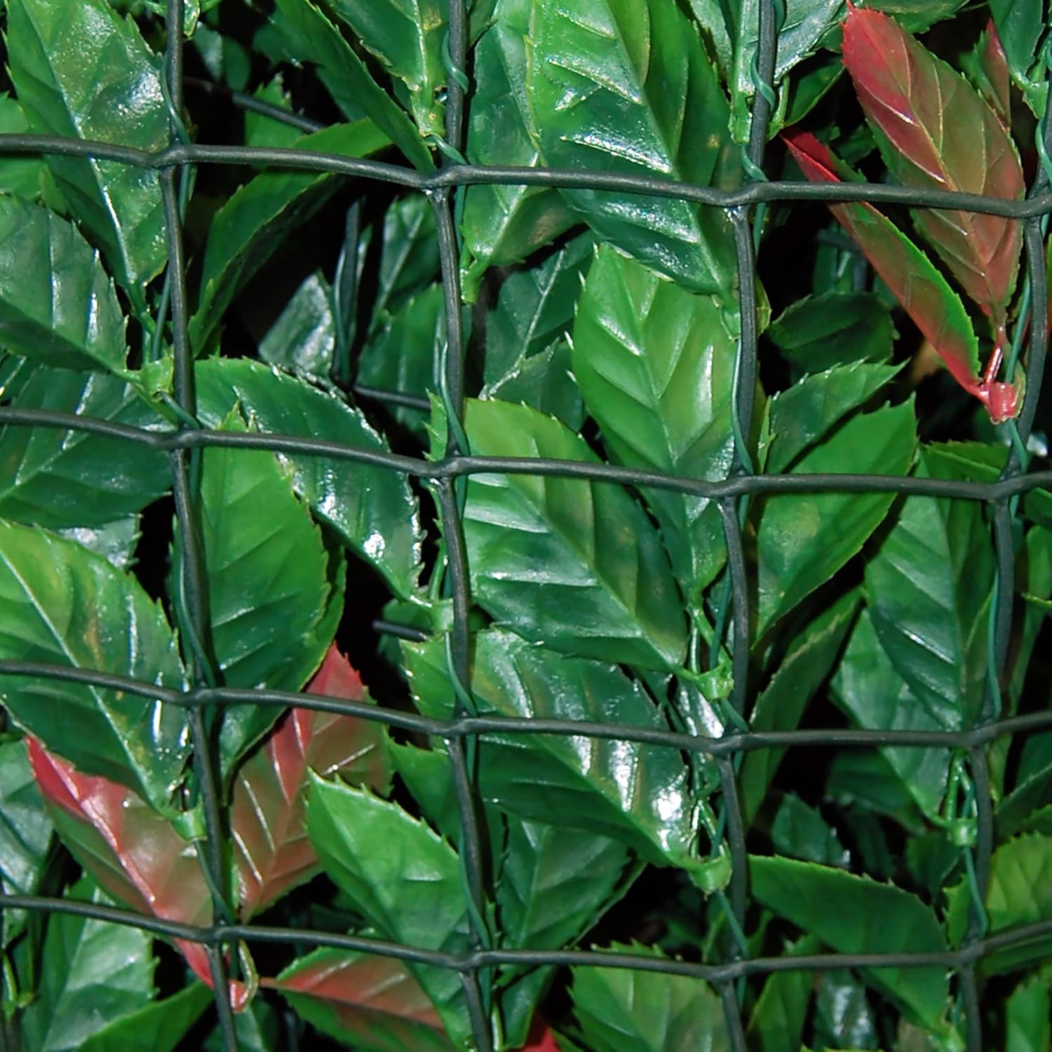 Decorazioni per il giardino tenax Divy Plus Laurus Verde Foglie 3D ...