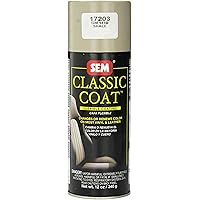 Amazon.com: SEM 15793 Shale Color Coat - 12 oz. : Automotive