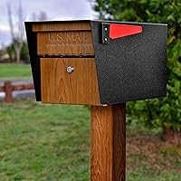 Amazon.com: Mail Boss 7526 Mail Manager Street Safe Locking Security ...
