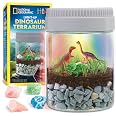 Amazon.com: NATIONAL GEOGRAPHIC Dinosaur Terrarium Kit for Kids ...