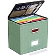 Amazon.com: Oterri 1 Pack File Organizer Boxes with Lids, File Box with ...