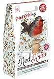 The Crafty Kit Co. Red Robin Felting Kit - Includes: Amazon.co.uk ...