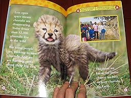 Amazon.com: National Geographic Readers: Cheetahs (8601200553413 ...