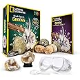 Amazon.com: NATIONAL GEOGRAPHIC Break Open 4 Geodes Science Kit ...