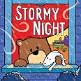 Stormy Night: Yoon, Salina: 9781681191652: Amazon.com: Books
