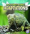 Rain Forest Animal Adaptations (Amazing Animal Adaptations): Lisa J ...