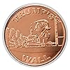 Donald Trump's Wall 1 oz Pure .999 Copper Round Challenge Coin in ...