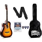 Intern INT-38C-SB-G Cutaway Right Handed Acoustic Guitar Kit (Sunburst ...