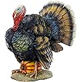 Amazon.com : Design Toscano QM2373100 North American Turkey Statue,full ...