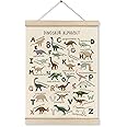 Amazon.com - HRQKO Dinosaur Alphabet Poster Hanger Frame, Dinosaur Wall ...
