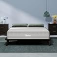 Amazon.com: Siena 10” Twin XL Hybrid Plush Mattress - Memory Foam ...