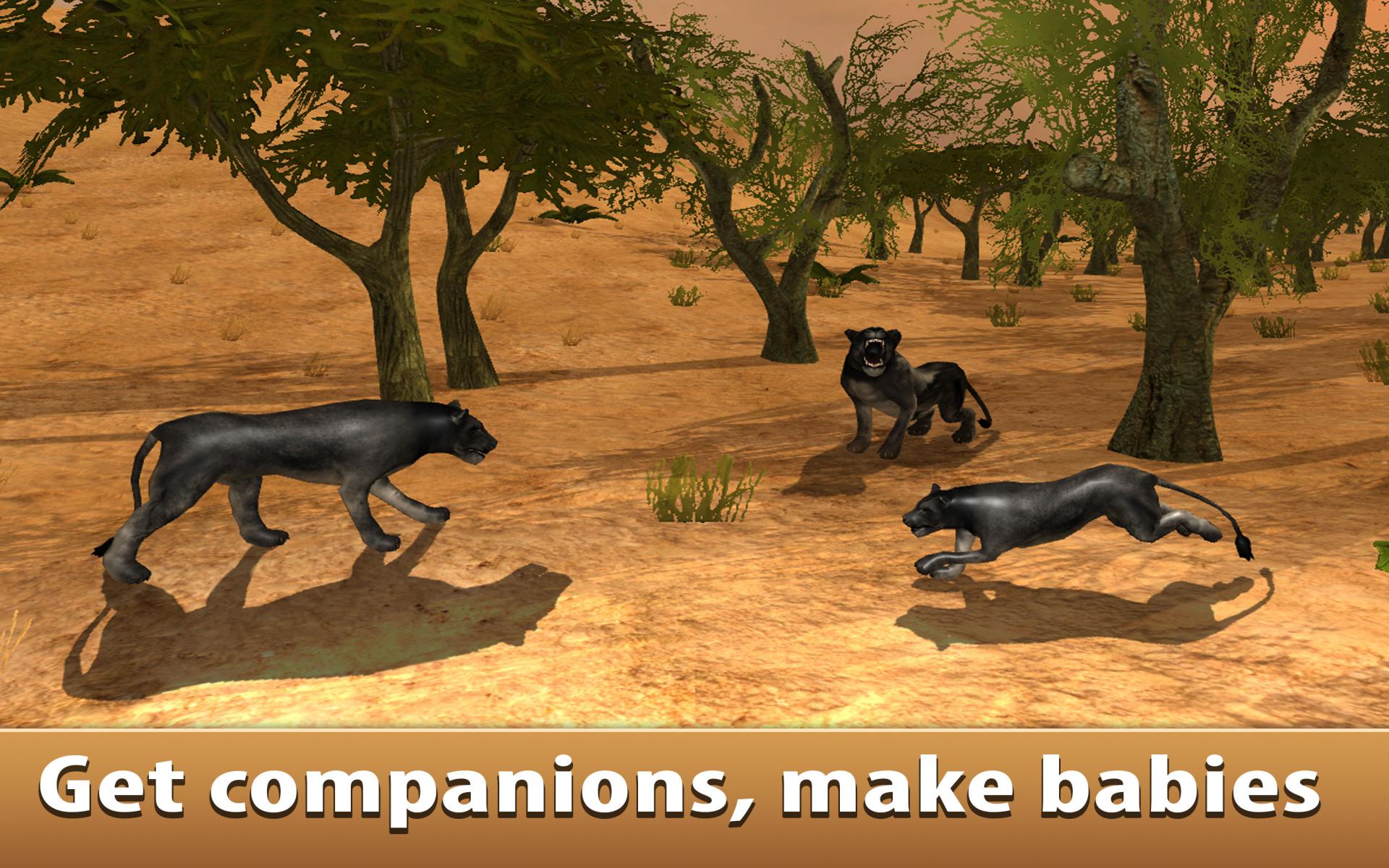 Black Wild Panther Simulator 3D:Amazon.co.uk:Appstore for Android