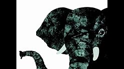 Hello Baby! (Classic Board Books): Fox, Mem, Jenkins, Steve ...