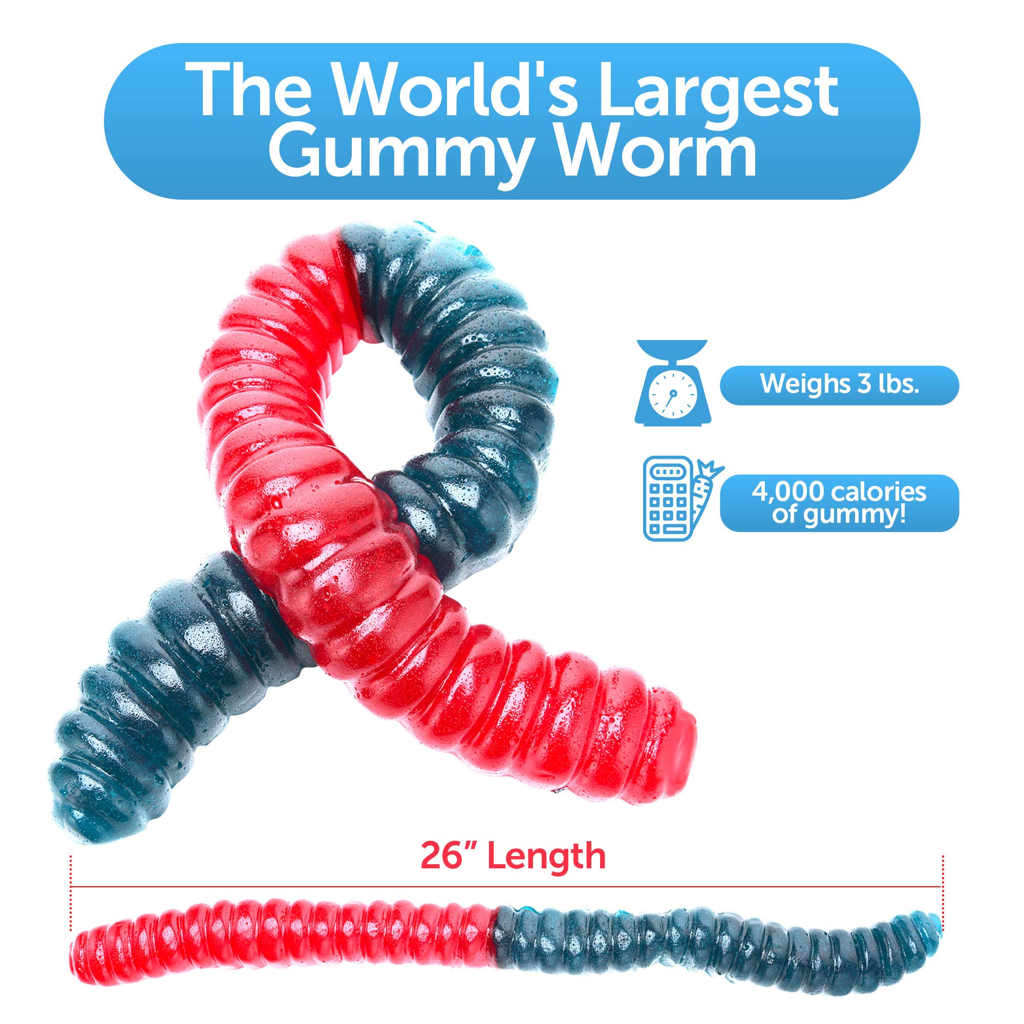Mua The Original World's Largest Gummy Worm - Cherry/Blue Raspberry ...