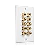 Cable Matters Speaker Wire Wall Plate, Gold Plated Speaker Wall Plate ...