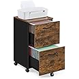 Amazon.com : VASAGLE 2-Drawer File Cabinet, Filing Cabinet for Home ...