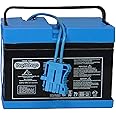 Amazon.com: Peg Perego Official Replacement 12V Battery : Tools & Home ...