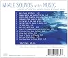 Whale Sounds With Music: Sounds of Whales, Whale Songs, & Ocean Waves ...