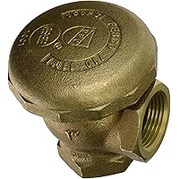 Febco 1" 710E Complete Valve Vacumn Breaker - Amazon.com