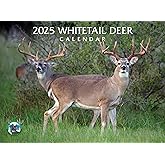 Amazon.com: Carousel Calendars, White Tailed Deer 2025 Wall Calendar ...