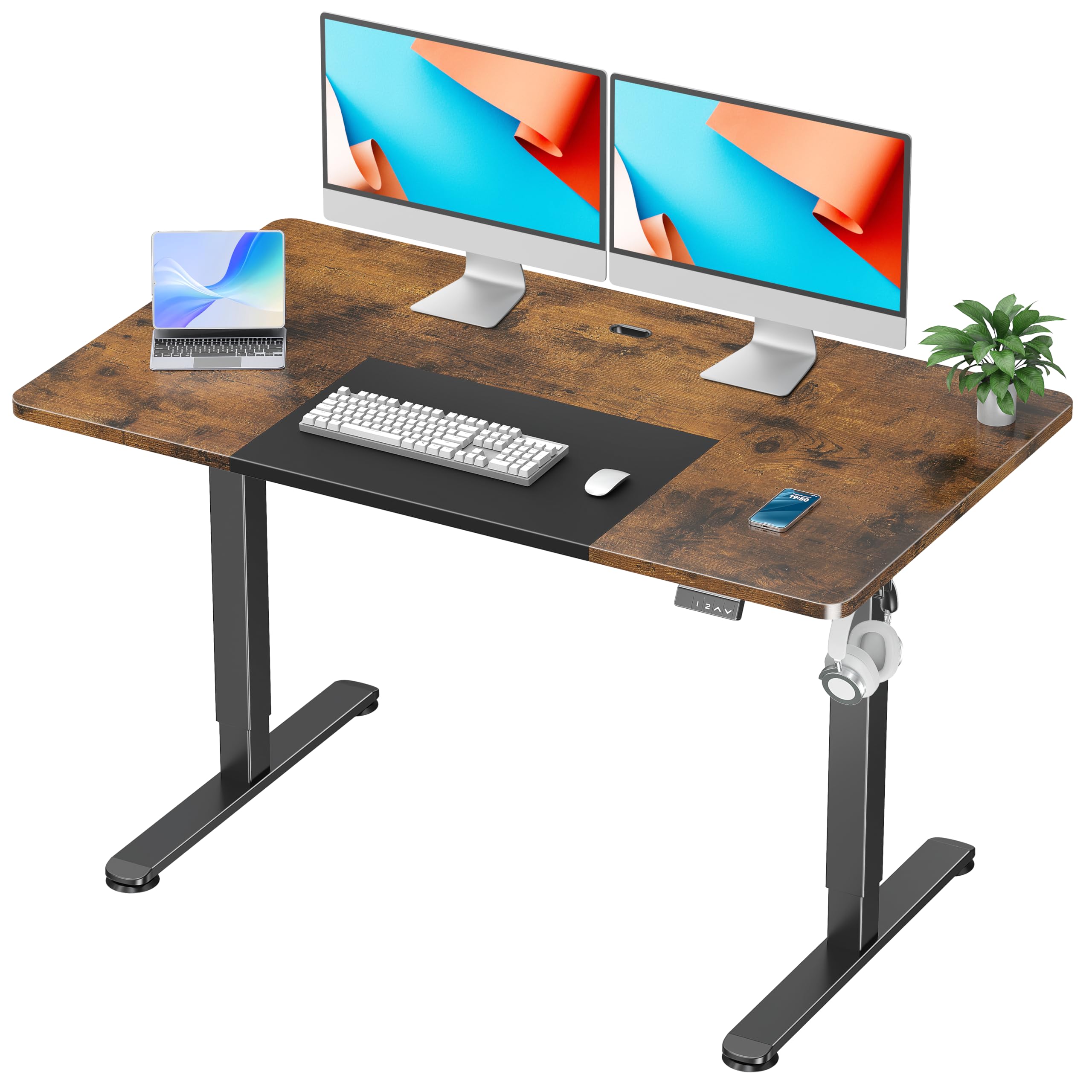WOKA Electric Height Adjustable Electric Standing Desk, 55 x 28 Inch ...