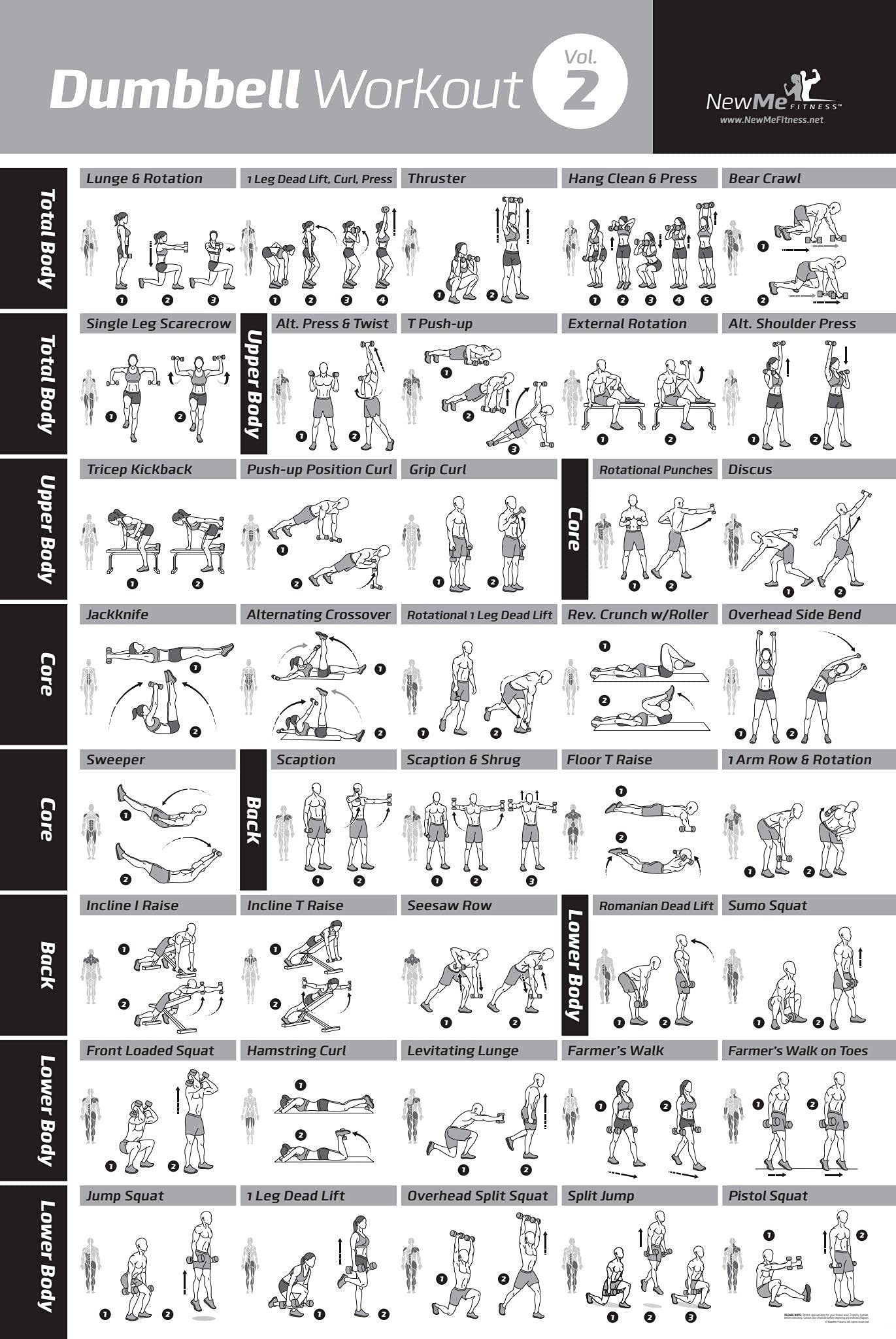 NewMe Fitness Workout Posters for Home Gym, Dumbbell Exercise Posters ...