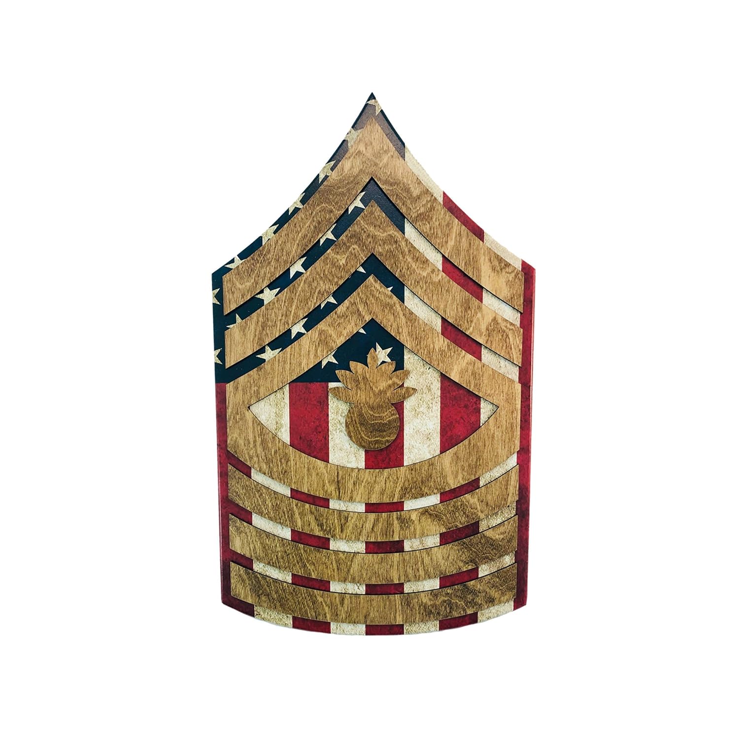Amazon.com: Marine Corps Rank Wall Hanging - E-9 (MGySgt) Raised ...