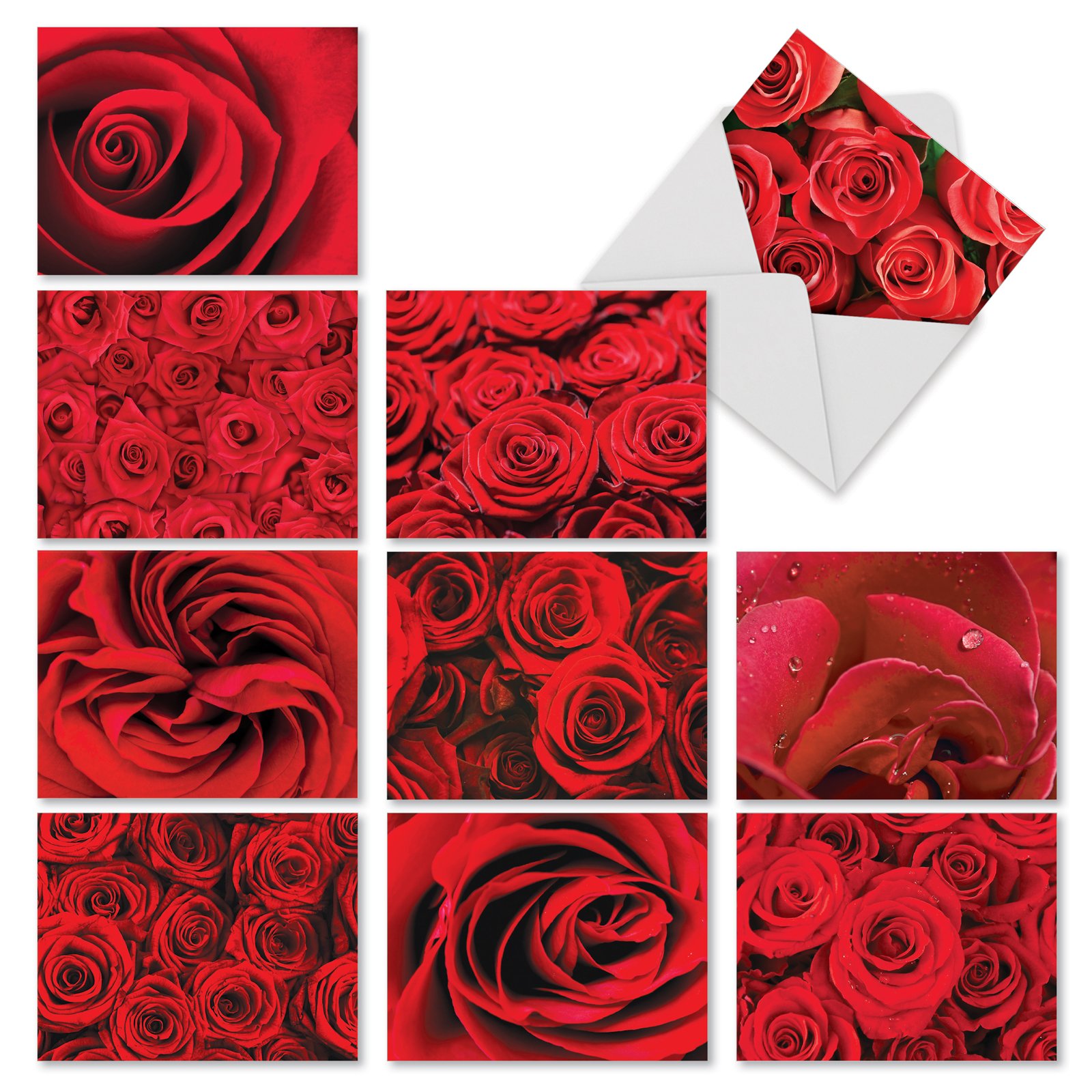 Amazon.com: A Rose by Any Other Name - 36 Note Cards - Blank Cards ...