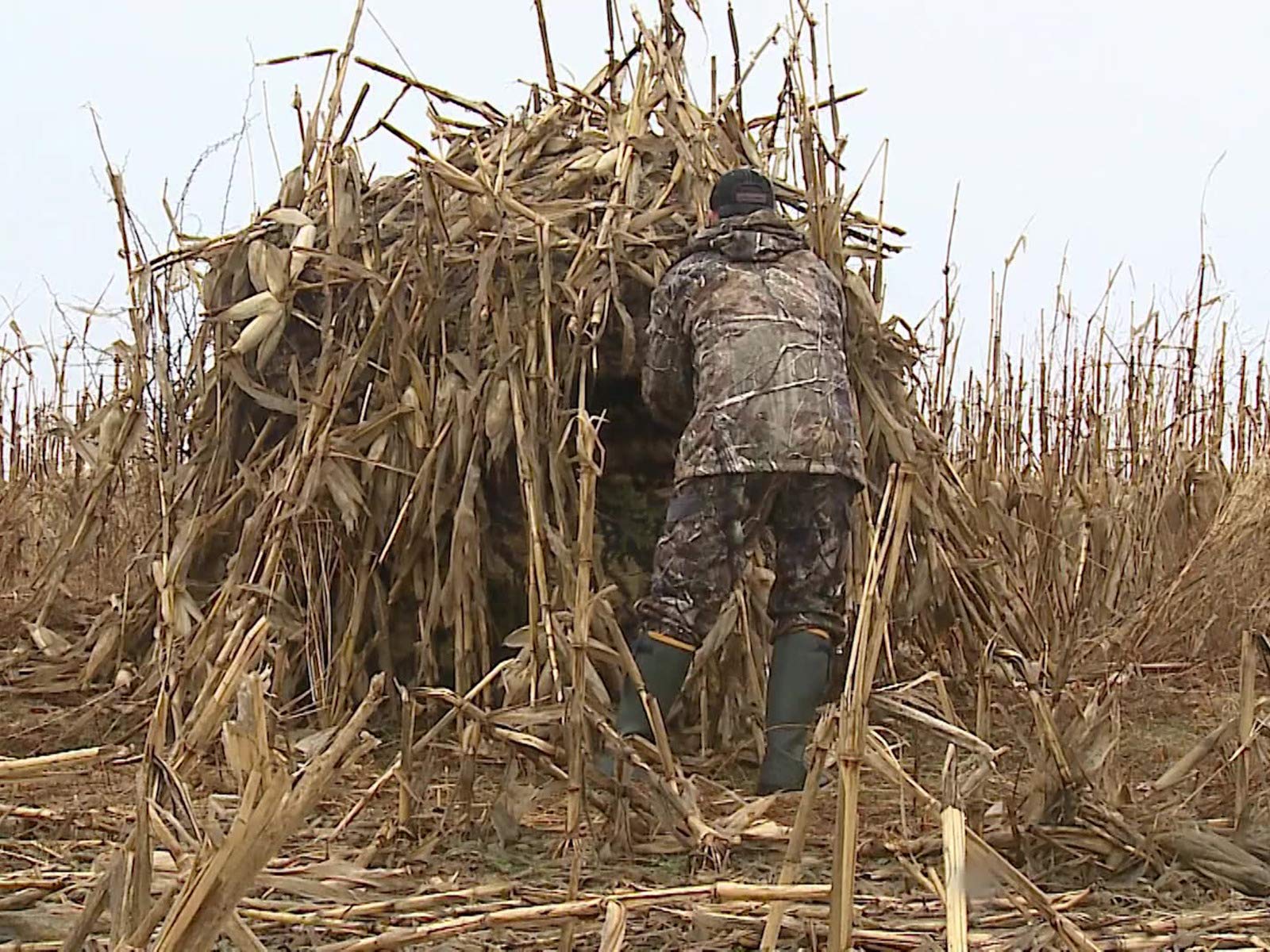 Watch Whitetail SLAM - Season 5 | Prime Video