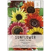 Amazon.com : 1000+ Sunflower Seeds for Planting Heirloom Non-GMO, Bulk ...