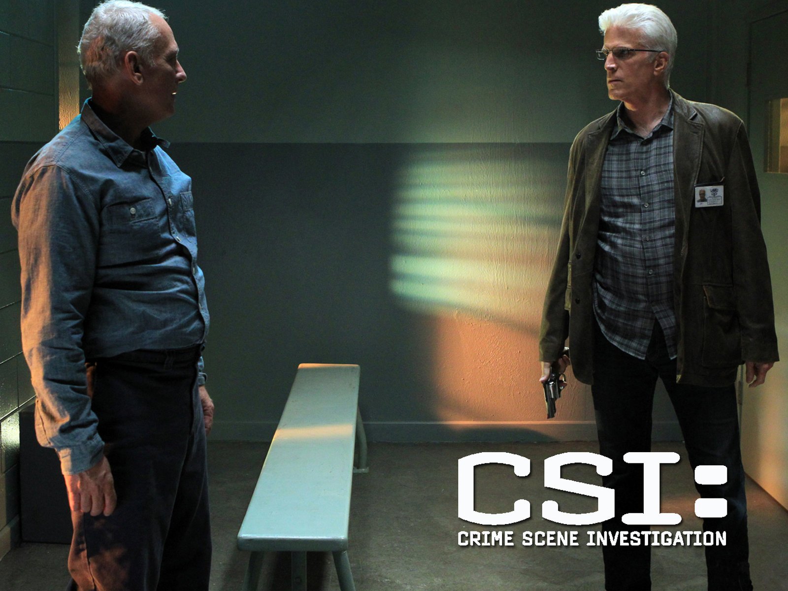 Watch CSI: Crime Scene Investigation, Season 13 | Prime Video