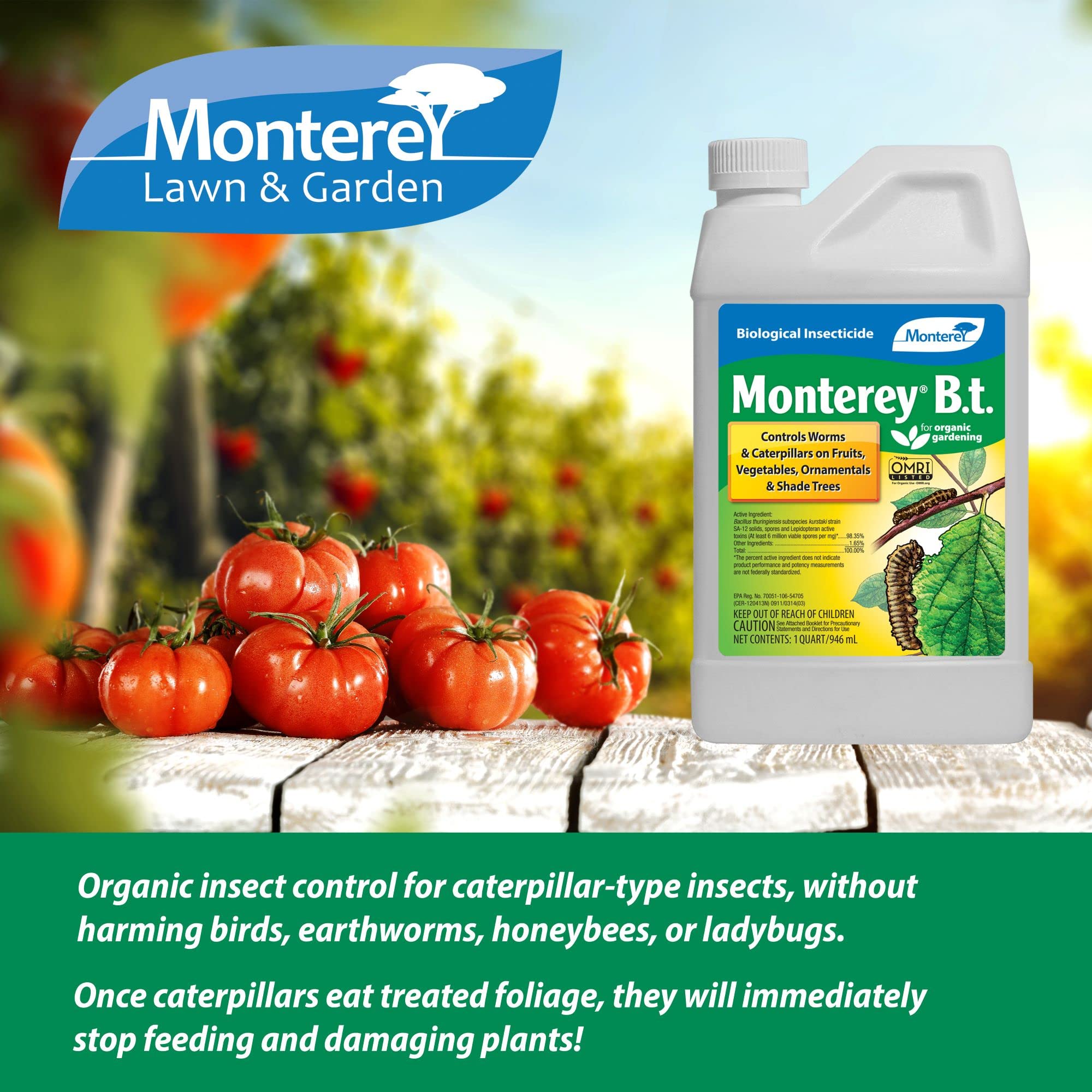 Mua B.t. - Biological Insecticide for Organic Gardening - 1 Quart ...