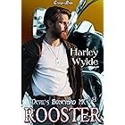Havoc (Devil's Boneyard MC 3): A Dixie Reapers Bad Boys Romance ...