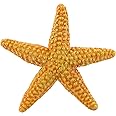 Amazon.com: Safari Ltd. Starfish Figurine - Vibrant 4.5" Sea Star ...