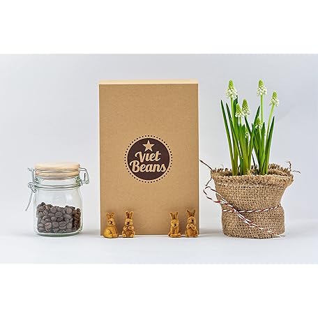 Mua VietBeans Coffee Beans Tasting Set in Gift Box – Four Exciting ...