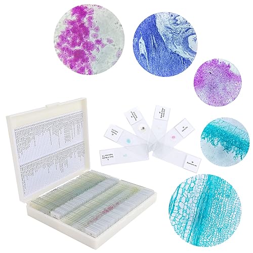 100PCS Prepared Microscope Slides with Specimens for Kids,Glass Slides ...