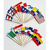 Amazon.com : stidsds Latin America 21 Countries Toothpick Flags Mini ...