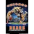 Amazon.com: Trends International NFL Chicago Bears - End Zone 17 Wall ...