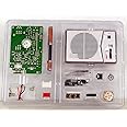 Tecsun 2P3 AM Radio Receiver Kit - DIY for Enthusiasts : Amazon.ca: Electronics