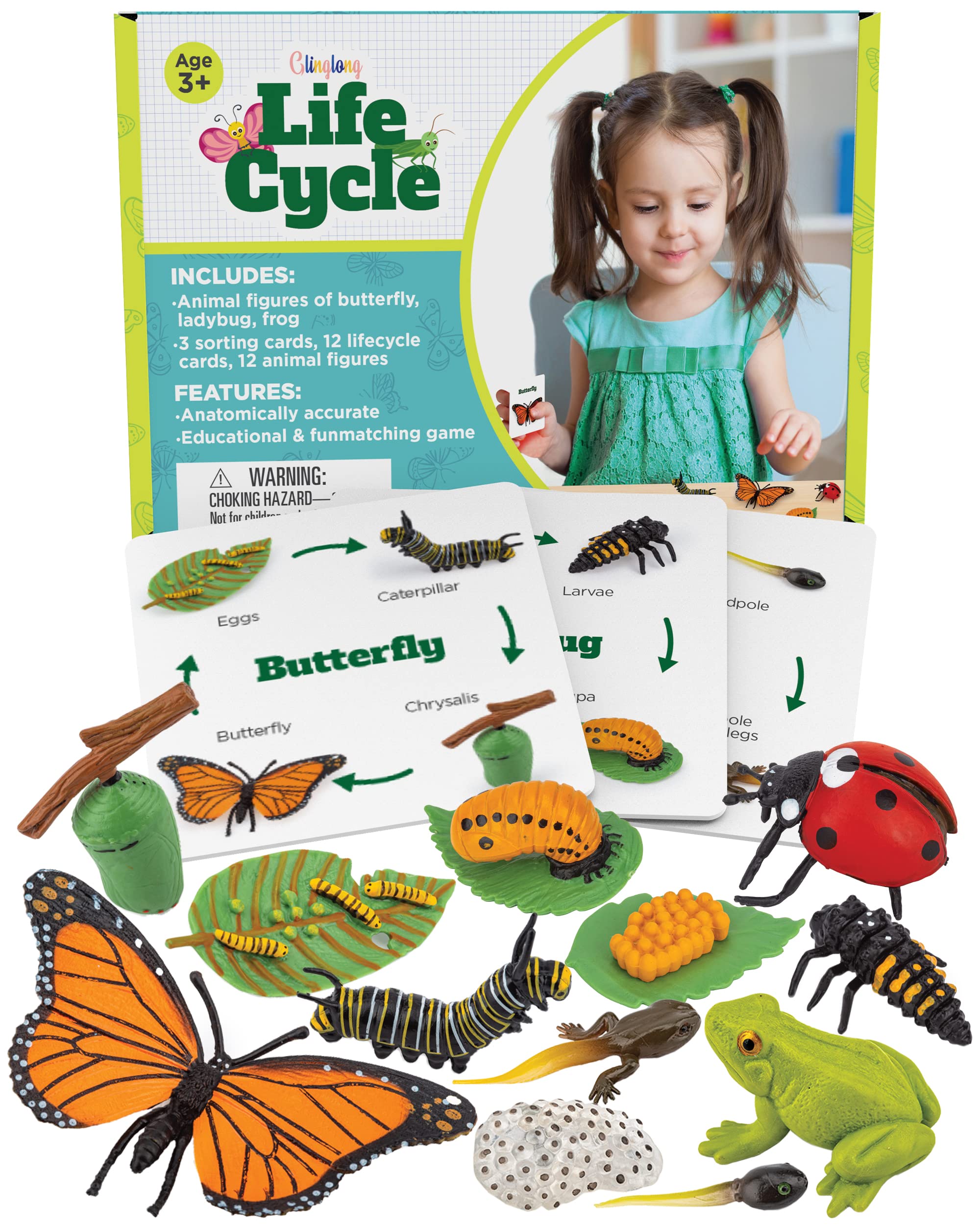 Life Cycle Animal Kit - 12-Piece Montessori Science Toy with Frog ...