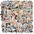 Amazon.com: Pinup Girl Stickers 100 pcs Retro Vintage Stickers Vinyl ...