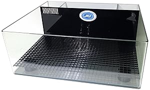 Best Glass Aquariums in 2023 (REVIEWS) • Fish Tank Advisor