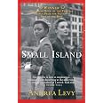 Small Island: Levy, Andrea: 9780755307500: Books - Amazon.ca