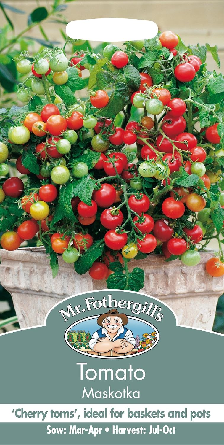 Mr. Fothergill's Cherry Tomato Maskotka Seeds: Amazon.co.uk: Garden ...