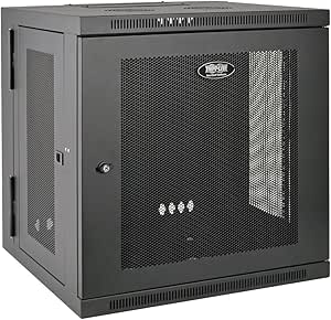 Amazon.com: Tripp Lite 10U Rack Enclosure, Wall Mount Rack, Low Profile ...