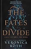 Divergent: Veronica Roth: 9780062024039: Books - Amazon.ca