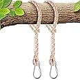 Amazon.com: Werfeito Tree Swing Ropes (Set of 2), 3FT/5FT/10FT/15FT ...